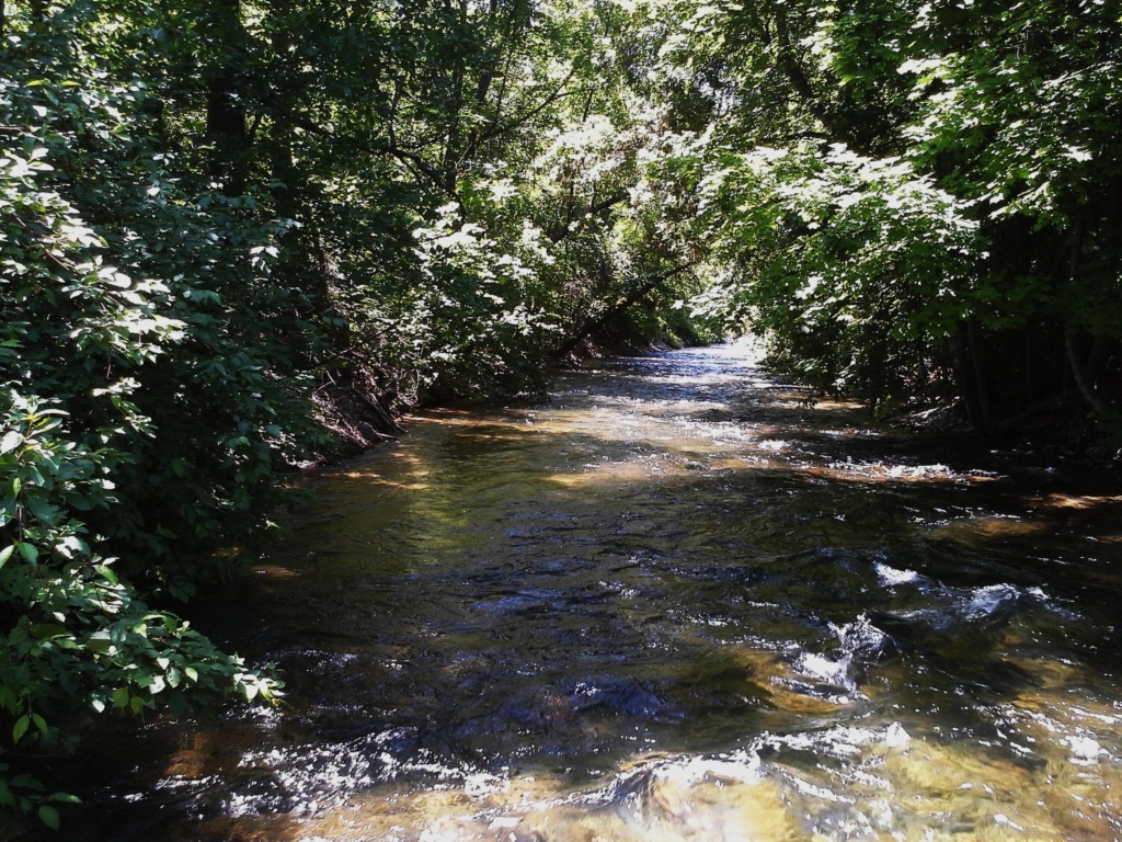 Logan River Watershed Plan • Bridgerland Audubon: Protecting the nature ...